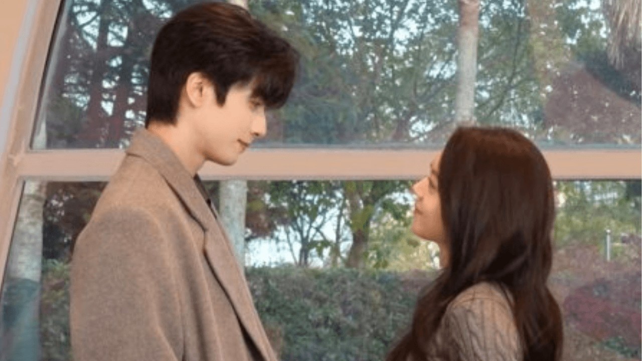 Shine On Me C-Drama 2025: Song Weilong and Zhao Jinmai Unforgettable Healing Romance You Can't ...